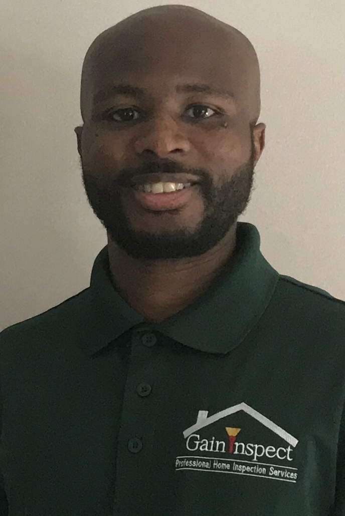 About - Gain Inspect